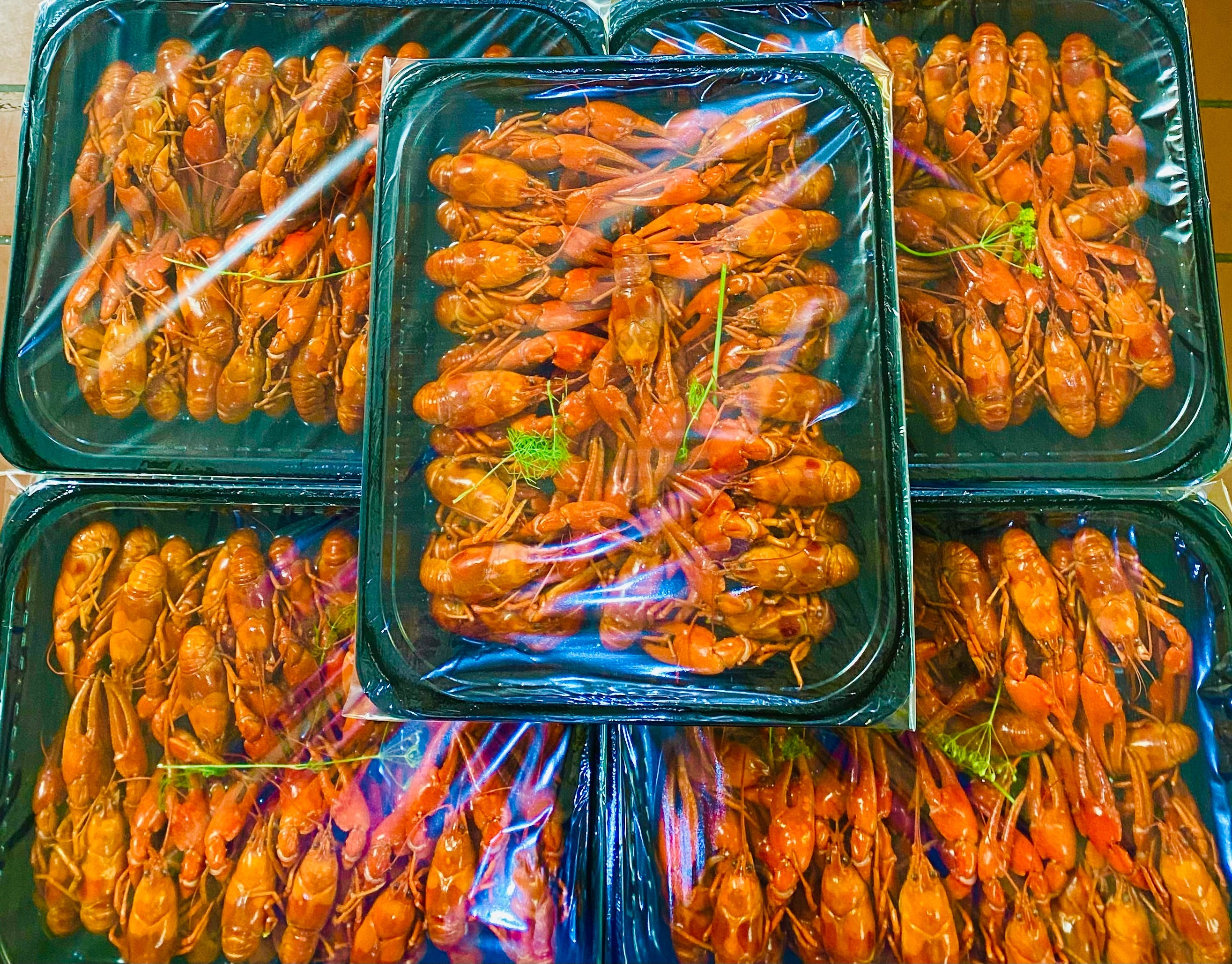 Cooked Crayfish – Northern Crayfish Company